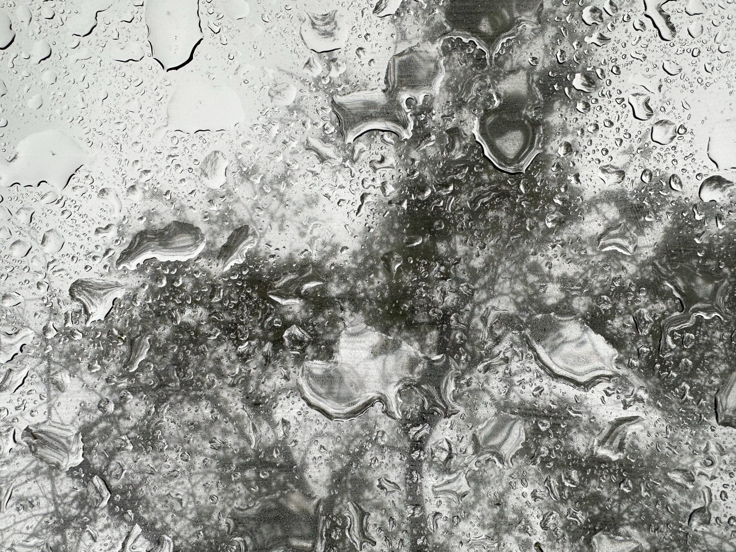 Day 58, 2023: Rain and Associated Pain – Almost Obvious