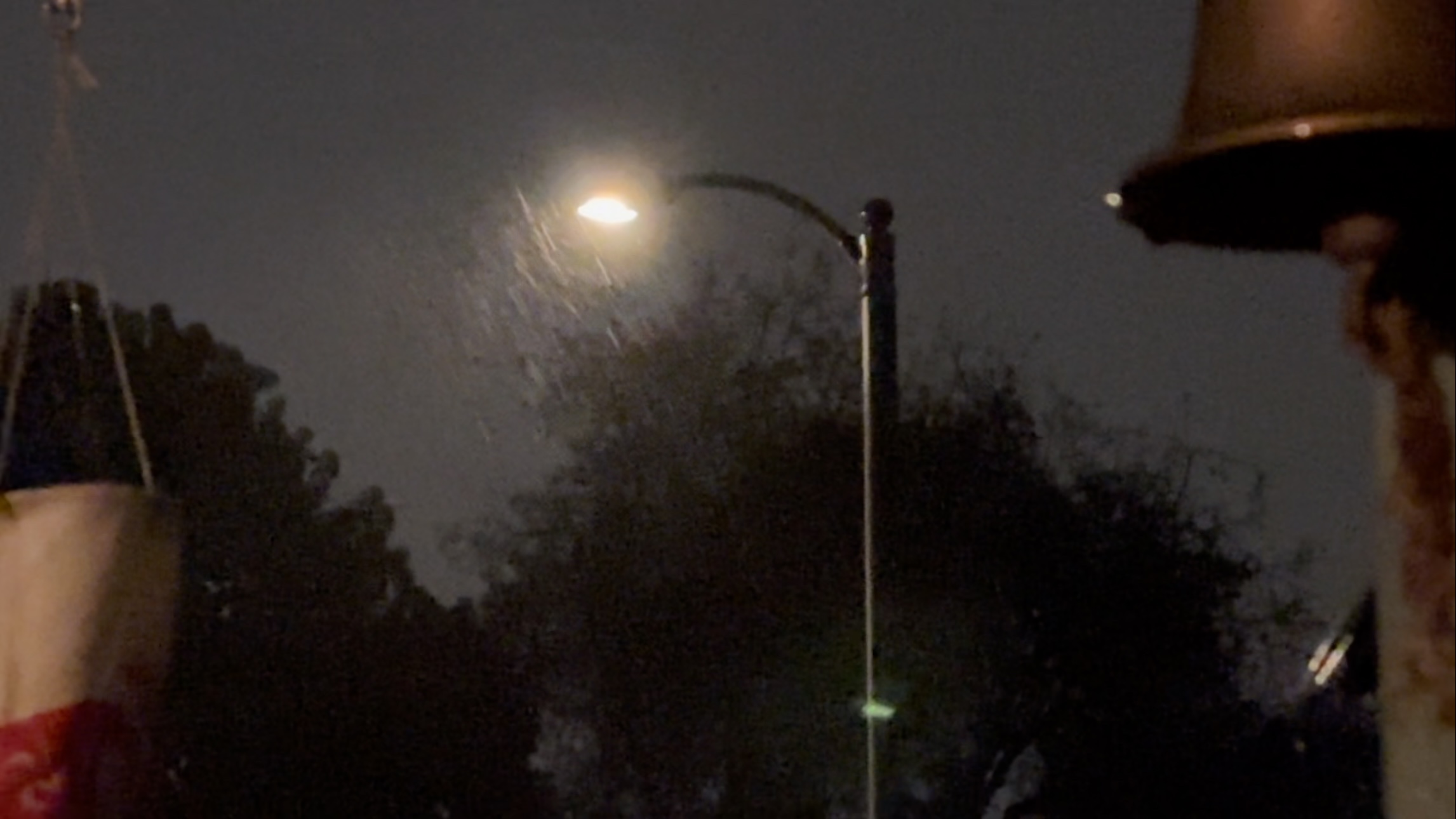 Day 99, 2023: Whoop Dee Doo, It’s Raining Again. – Almost Obvious